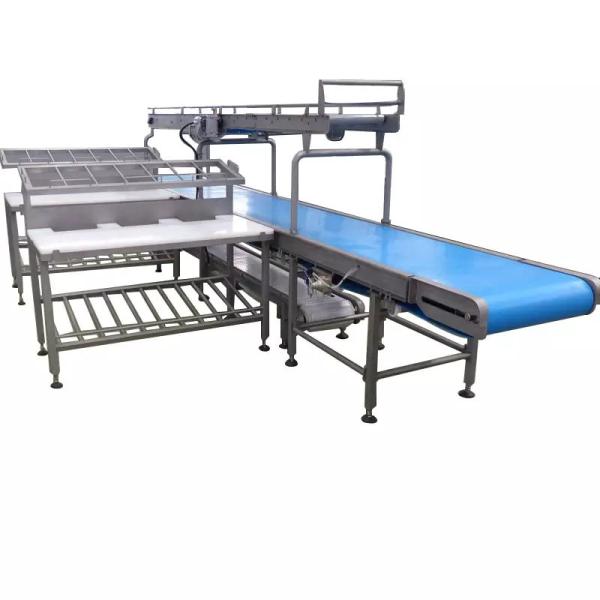 Quality 304 Stainless Steel  Slaughterhouse Cow Machine 2480*1340*1480mm for sale