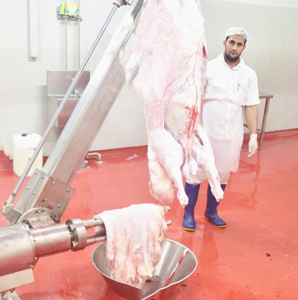 Quality 304 Stainless Steel Slaughterhouse Cow Machine 2480*1340*1480mm for sale
