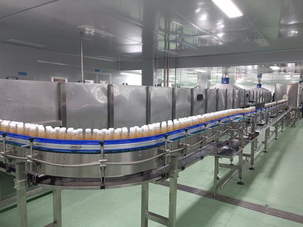 Quality Professional Mini Meatball Ball Fish Ball Forming Machine Stainless Steel for sale