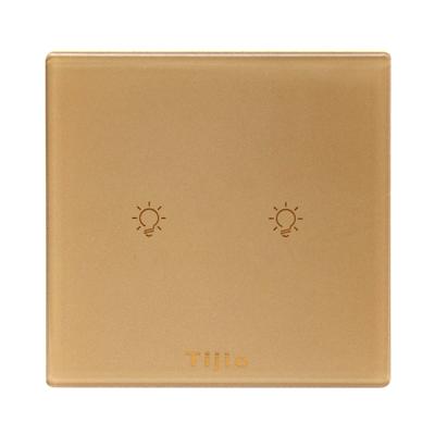 China Control+Voice App control tuya Wi-Fi touch light Eu standard switch two band one way panel smart touch switch for sale