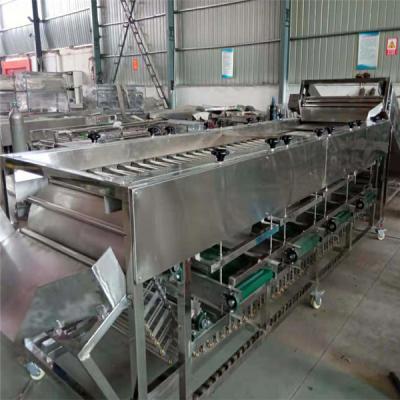 China potato sorting machine, potato sorter, potato grading machine, potato grader for sale
