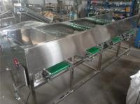China garlic sorting machine, garlic grading machine, garlic sorter, garlic grader for sale