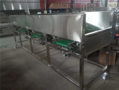 China garlic sorting machine, garlic grading machine, garlic sorter, garlic grader for sale