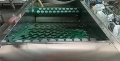 China garlic sorting machine, garlic grading machine, garlic sorter, garlic grader for sale