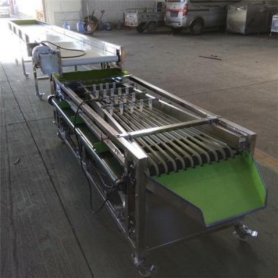 China plum grading machine, dates sorting machine, cherry waxberry sorter for sale