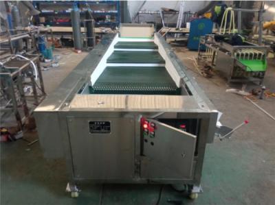 China blueberry sorting machine, blueberry grading machine, blueberry sorter for sale