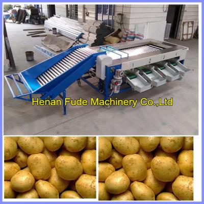 China potato grading machine , potato sorting machine for sale
