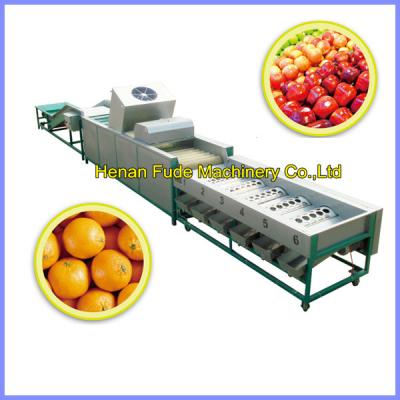 China Navel orange cleaning, wax polishing , sorting machine for sale