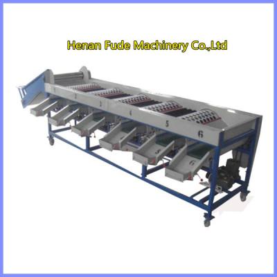 China onion sorting machine, onion grading machine for sale