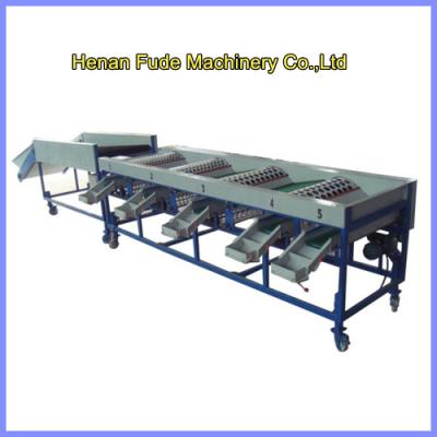 China garlic sorting machine, garlic grading machine with brush cleaning for sale