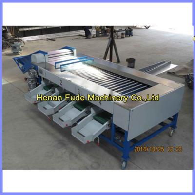 China date sorting machine, dates grading machine for sale