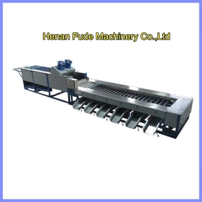 China Mango cleaning and sorting machine, mango washing and grading machine for sale