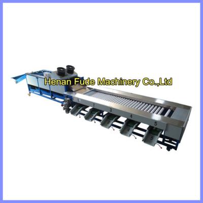 China Mangosteen cleaning sorting machine, mangosteen washing grading machine for sale