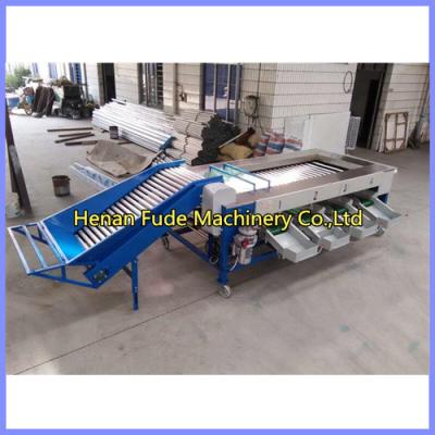 China potato sorting machine, potato grading machine for sale