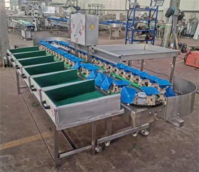 China apple grading machine, apple sorting machine, fruit grader sorter for sale