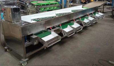 China apple grading machine, tomato sorting machine, garlic sorting machine for sale