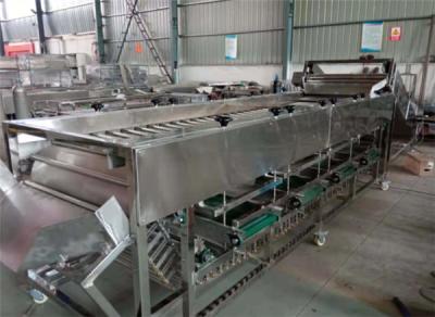 China potato sorting machine, potato grading machine, potato sorter, potato grader for sale