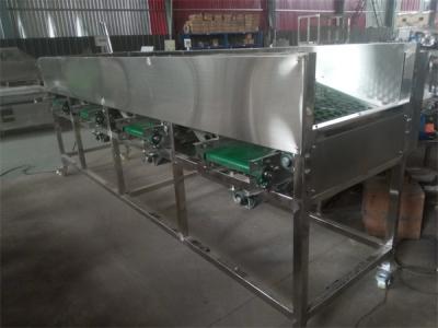 China garlic sorting machine, garlic grading machine,garlic sorter, garlic grader for sale