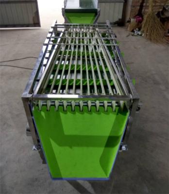 China olive sorting machine, dates grading machine, cherry sorting machine for sale