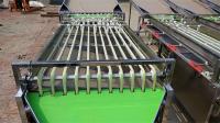 China cherry tomato sorting machine, blueberry grading machine, cherry sorting machine for sale