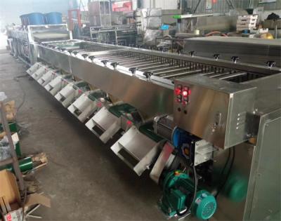 China potato washing drying grading machine, potato washing drying sorting line for sale