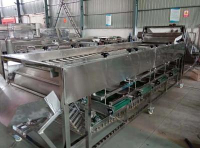 China dates grading machine, dates sorting machine, dates sorter, dates grader for sale