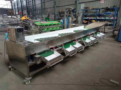 China tomatoes sorting machine, tomatoes grading machine, tomato grader sorter for sale