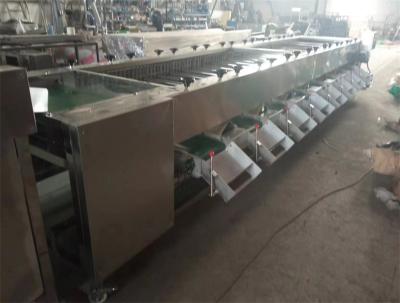 China sweet potato grading machine, sweet potato cleaning sorting machine for sale