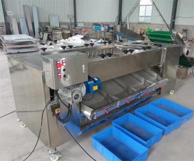 China cheapest potato sorting machine, potato grading machine, potato sorter grader for sale