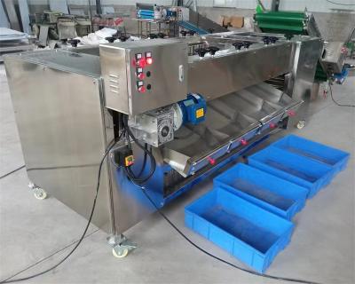 China cheapest potato sorting machine, potato grading machine, potato sorter grader for sale