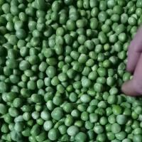 China Small Pea Sheller, Pea Shelling Machine,Pea Peeling Machine, Pea Huller for sale