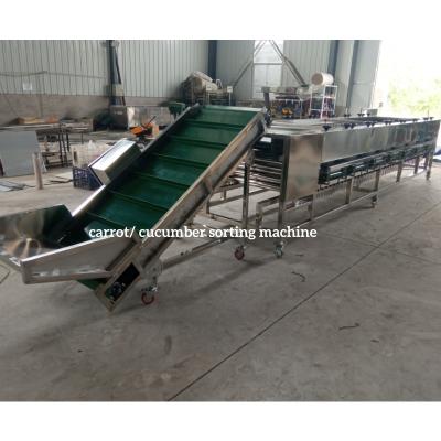 China Cucumber Calibration, Cucumber Sorting Machine, Cucumber Grading Machine for sale