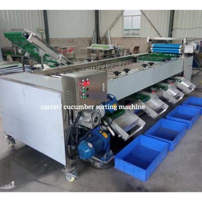 China Cucumber Calibration, Cucumber Sorting Machine, Cucumber Grading Machine for sale