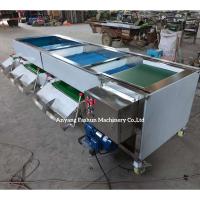 China Olive Sorting Machine, Olive Grading Machine, Olive Grader Sorter for sale
