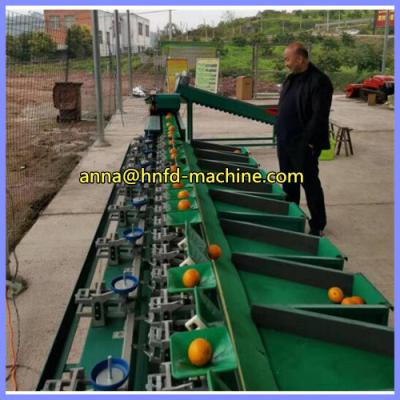 China small apple grading machine, dragon fruit sorting machine, kiwi fruit sorter for sale
