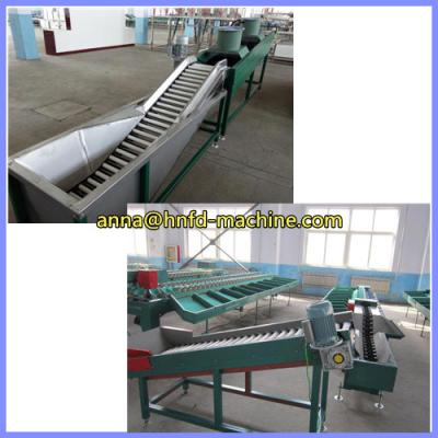 China Lemon washing , fan drying and grading machine,apple cleaning sorting machine for sale