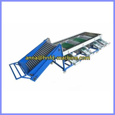 China garlic sorting machine, garlic grading machine, garlic grader, garlic sorter for sale