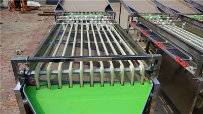 China small type dates sorting machine, lemon grading machine, small potatoes sorter for sale