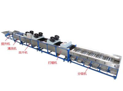 China lemon washing drying waxing grading machine, orange washing drying machine for sale