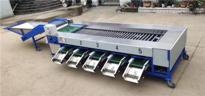 China potato grading machine, potato sorting machine, potato sorter, potato grader for sale