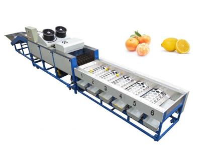 China lemon cleaning waxing sorting machine, lemon grading machine, lemon sorter for sale