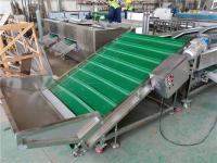 China walnut sorting machine, walnut grading machine, walnut grader, walnut sorter for sale
