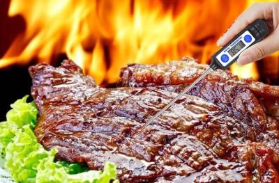 Cina Termometro al minuto del fumatore del barbecue della famiglia dell'alimento con la sonda riduttrice di punta in vendita