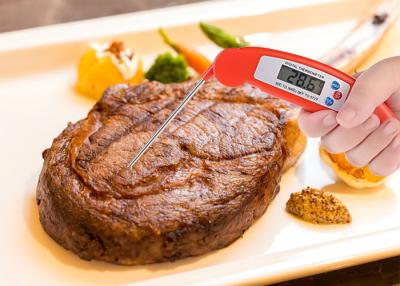 China O instante leu o termômetro do churrasco da carne para o assado exterior Eco - amigável à venda