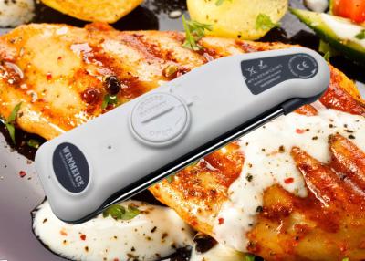 Cina IP68 impermeabilizzano il termometro di carne del BBQ con amichevole eco- di funzione dell'allarme in vendita
