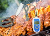China Industrial Digital Thermometer Instant Read Flexible Probe IP68 -40 to 300C for sale