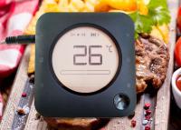 China Bluetooth 5.0 Smart Wireless BBQ Thermometer 6 Probes 100m Range for Oven Grilling for sale