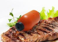 China Wireless Bluetooth BBQ Thermometer with 2 Probes 100m Range 0-350°C for sale
