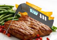 China Splash Proof Commercial BBQ Meat Thermometer with Foldable Probe IP67 300C for sale