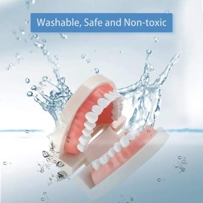 Cina SJ Dental Typodont Teeth Model High Quality Demonstration Denture Frasaco Dental Study Model For Tooth in vendita